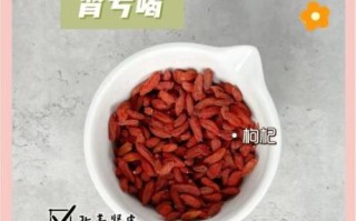 春季养生茶推荐_夏季养生茶喝什么