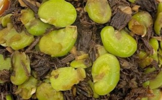 蚕豆怎么做好吃_蚕豆的做法大全小视频