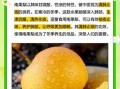 南果梨孕妇能吃吗_孕妇吃南果梨的注意事项