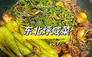 东北咸菜怎么做_东北咸菜有哪些种类