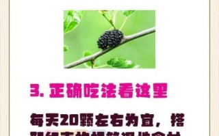 桑椹的功效与作用及副作用_吃桑椹会上火吗