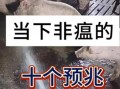 2020年猪瘟疫情最新消息_非洲猪瘟还能吃猪肉吗