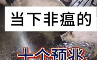2020年猪瘟疫情最新消息_非洲猪瘟还能吃猪肉吗