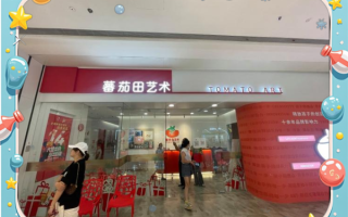 蕃茄田艺术加盟费多少钱_加盟条件有哪些