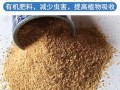 豆饼饲料怎么喂牛_豆饼饲料价格多少钱一吨