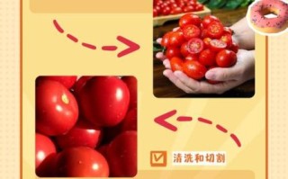 自制番茄酱怎么做_家庭番茄酱保存多久