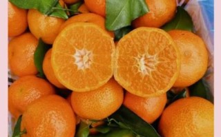 砂糖橘怎么挑选_砂糖橘图片怎么看新鲜度