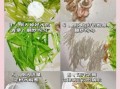 绿皮萝卜怎么做好吃_绿皮萝卜的做法大全