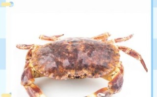 冷冻面包蟹怎么解冻_冷冻面包蟹蒸多久