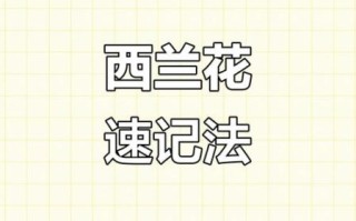 西兰花英语怎么读_broccoli发音技巧 西兰花英语怎么读_broccoli发音技巧