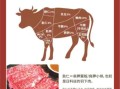 牛欢喜是牛的哪个部位_牛欢喜部位图解
