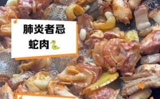 吃蛇肉最忌讳什么_孕妇能不能吃蛇肉