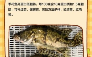 季花鱼怎么做好吃_季花鱼的做法大全