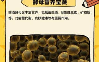 啤酒酵母的功效与禁忌_哪些人不能吃