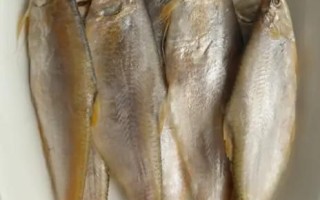 黄鲫子鱼是海鱼还是河鱼_黄鲫子鱼生长环境