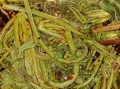 香椿芽咸菜怎么做好吃_香椿芽咸菜吃法大全