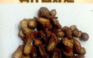 丹参的功效与作用有哪些_丹参怎么吃效果最好