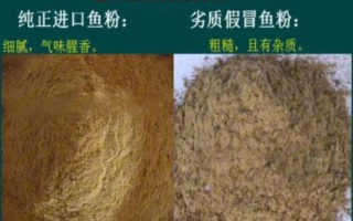 鱼粉是什么做的_鱼粉图片如何辨别真假