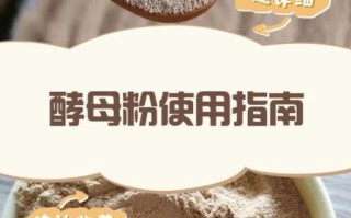 酵母粉是什么_酵母粉怎么用