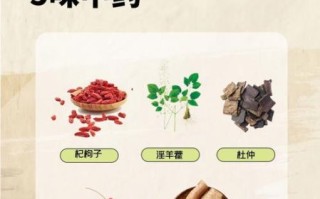 肾虚吃什么补最快_肾虚用什么补效果最好