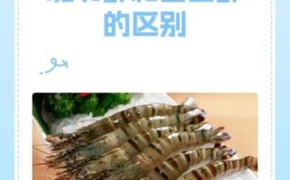 斑节虾是河虾还是海虾_斑节虾和基围虾区别
