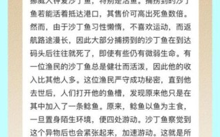 鲶鱼效应的管理原理是什么_如何激活团队