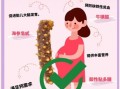 女性每天吃一个海参好吗_长期吃海参的利弊