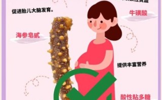 女性每天吃一个海参好吗_长期吃海参的利弊