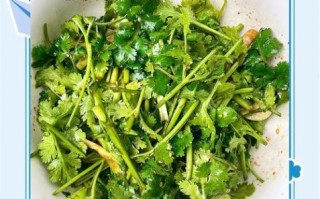 香菜怎么吃好吃_香菜有哪些吃法