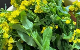 菜心开花了还能吃吗_菜心开花食用安全