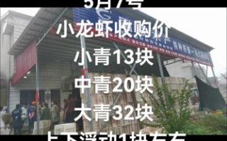 小龙虾价格走势_今日小龙虾多少钱一斤