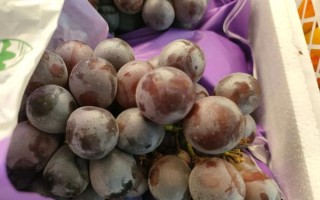 夏黑葡萄多少钱一斤_夏黑葡萄价格行情