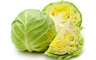圆白菜营养价值高吗_圆白菜热量低吗