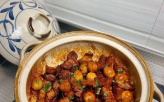 砂锅炖肉怎么做_砂锅炖肉用什么肉最好