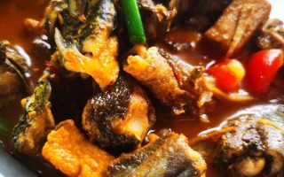 鲶鱼炖豆腐怎么炖_鲶鱼炖豆腐的家常做法