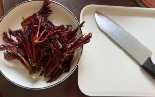 香椿拌豆腐香椿需要焯水吗_焯水多久才安全