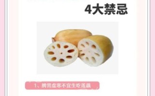 莲藕的功效与作用_莲藕的禁忌人群