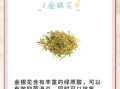 清热解毒祛痘喝什么茶_祛痘茶推荐