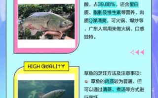 鲩鱼和草鱼一样吗_鲩鱼是不是草鱼 鲩鱼和草鱼一样吗_鲩鱼是不是草鱼