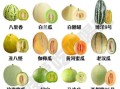 瓜果蔬菜图片大全_如何快速识别常见品种