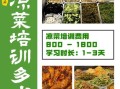 学凉菜要多久_学凉菜难不难