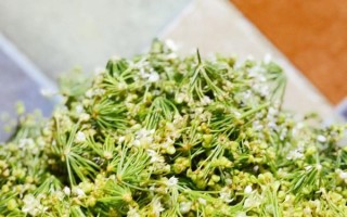 韭花豆角咸菜怎么腌制_韭花豆角咸菜腌制方法