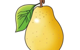 雪梨图片卡通怎么画_雪梨卡通图片素材去哪找