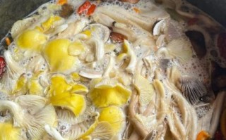 菌子汤的家常做法_菌子汤怎么做好喝