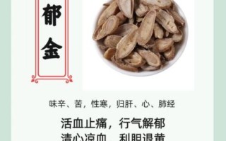 郁金的功效与作用_郁金能治疗哪些疾病