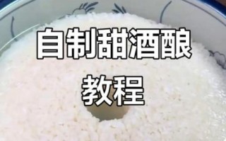 甜酒酿怎么做_甜酒酿视频教程