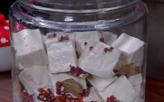 家庭豆腐乳的制作方法_自制豆腐乳用什么配料