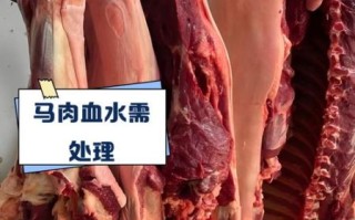 马肉是热性还是凉性_马肉吃了上火吗