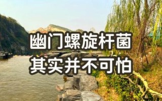 猪肚怎么煮容易烂_猪肚快速软烂技巧