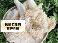 长裙竹荪怎么泡发_长裙竹荪怎么吃最好